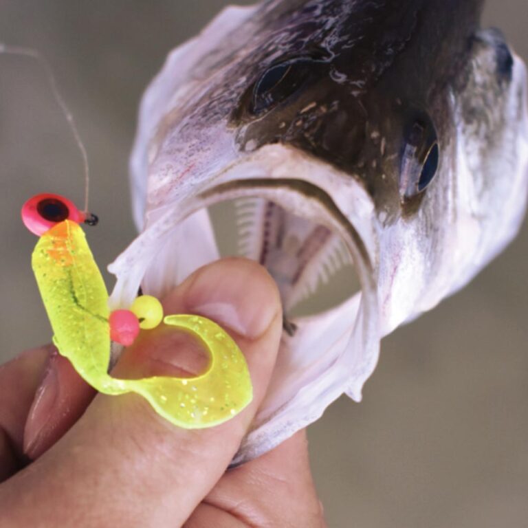 BIG EYE JIG HEAD - Fle-Fly Tackle